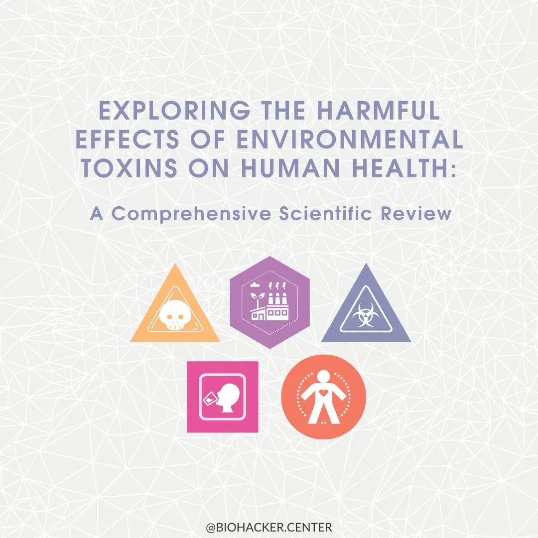Exploring the Harmful Effects of Environmental Toxins – HOLOLIFE Center