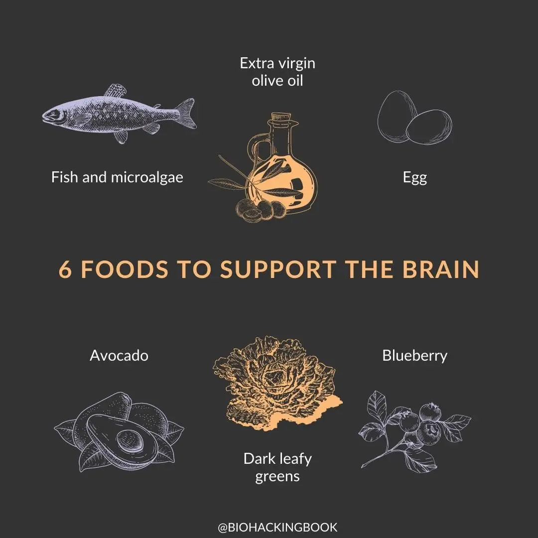 How Does Food Affect Your Mind and the Brain? – HOLOLIFE Center