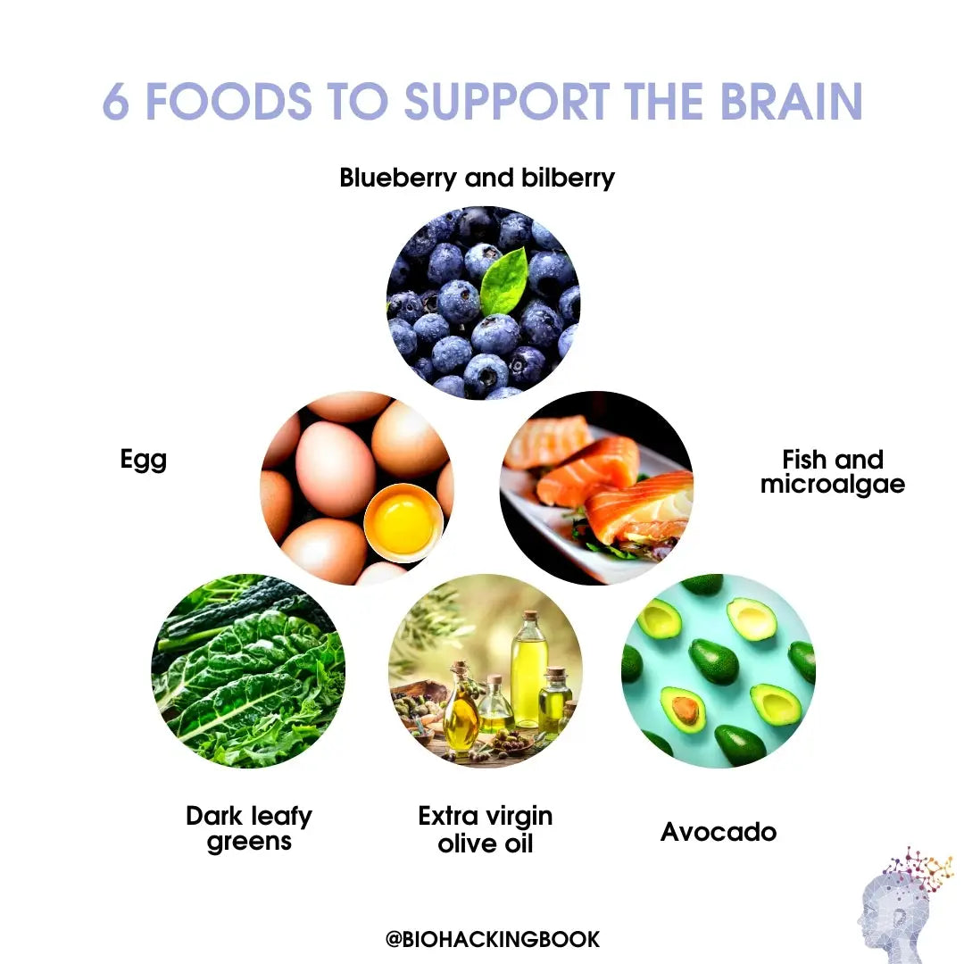6 Foods to Support the Brain – HOLOLIFE Center