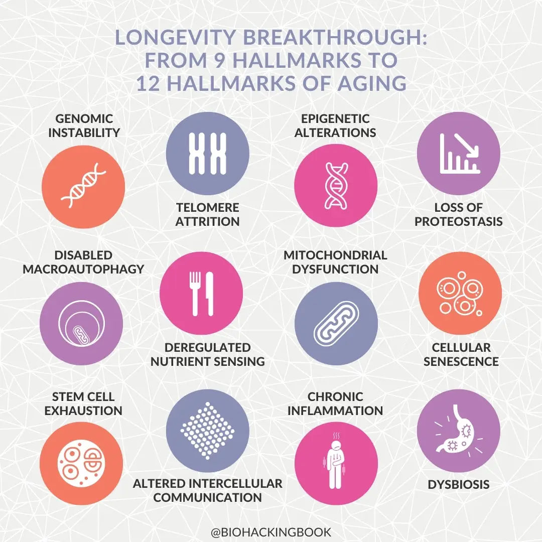 Longevity Research Breakthrough: from 9 Hallmarks to 12 – HOLOLIFE Center