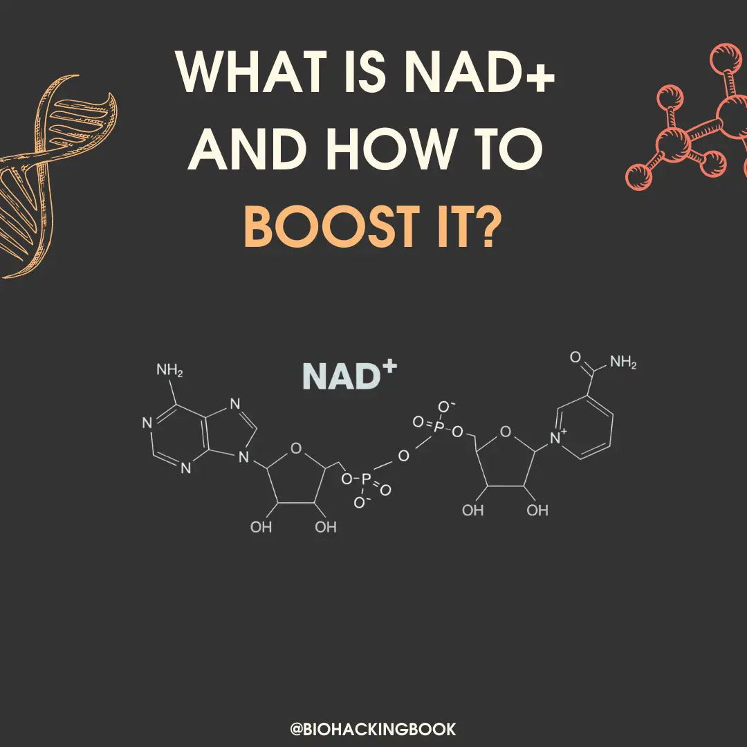 What is NAD+ and how to boost it? – HOLOLIFE Center