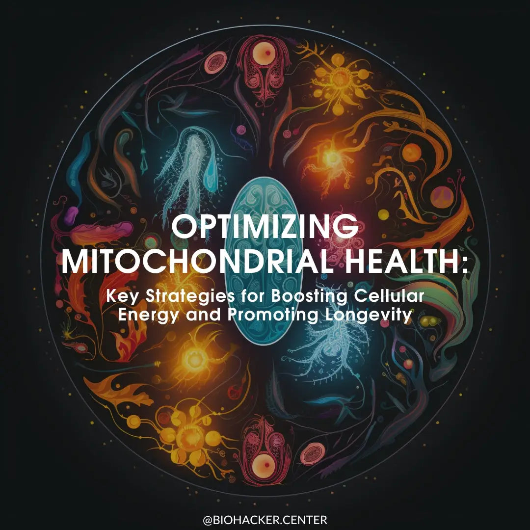 Optimizing Mitochondrial Health: Key Strategies – HOLOLIFE Center